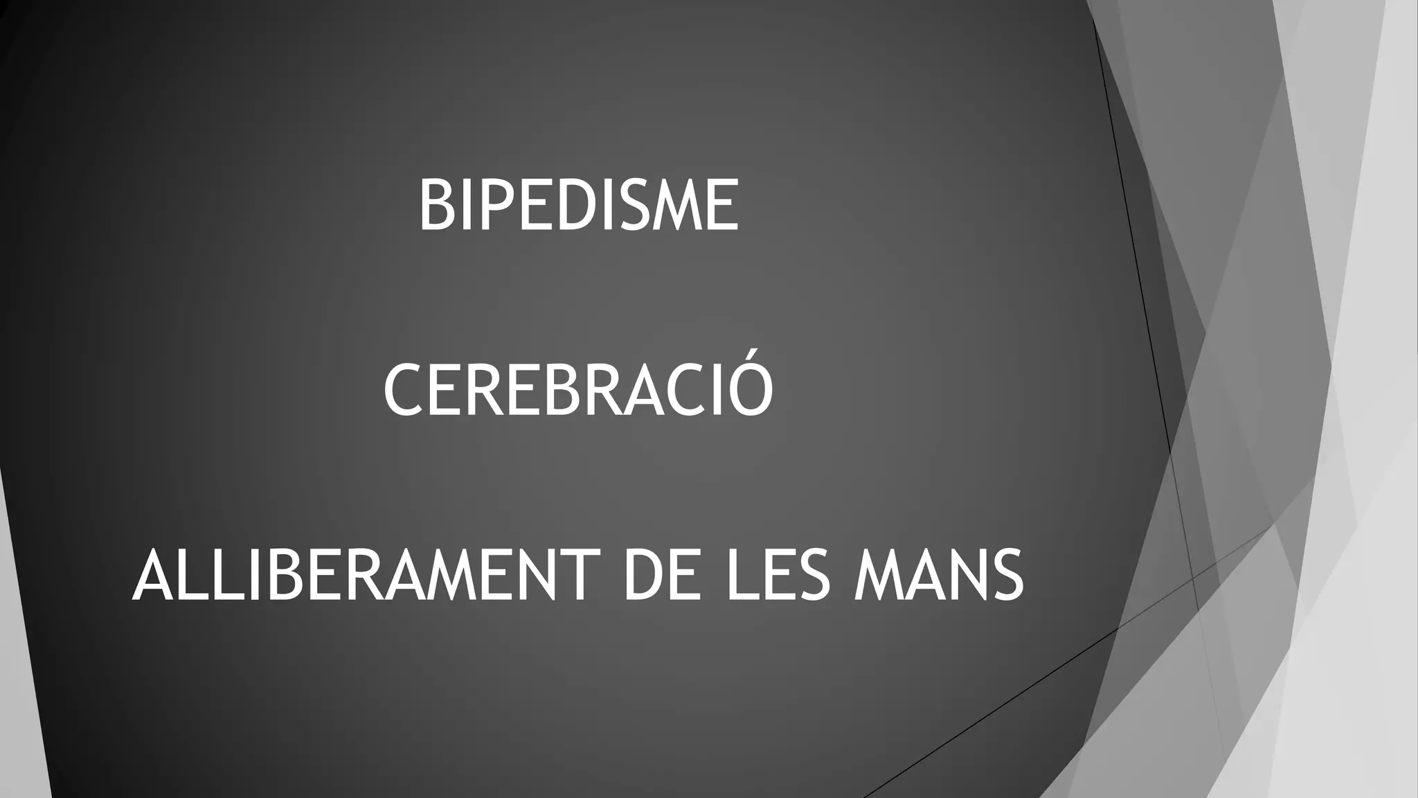 S3 anatomia comparada | PPT