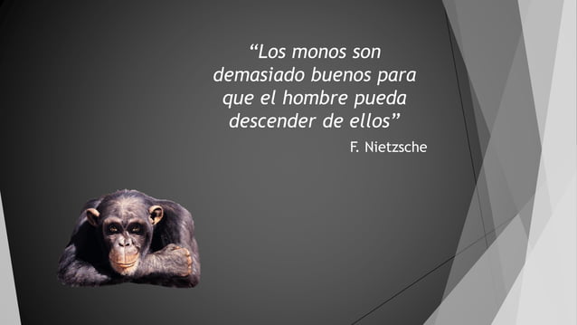 S3 anatomia comparada | PPT