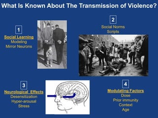 Charlie Ransford - Cure Violence | PPTX