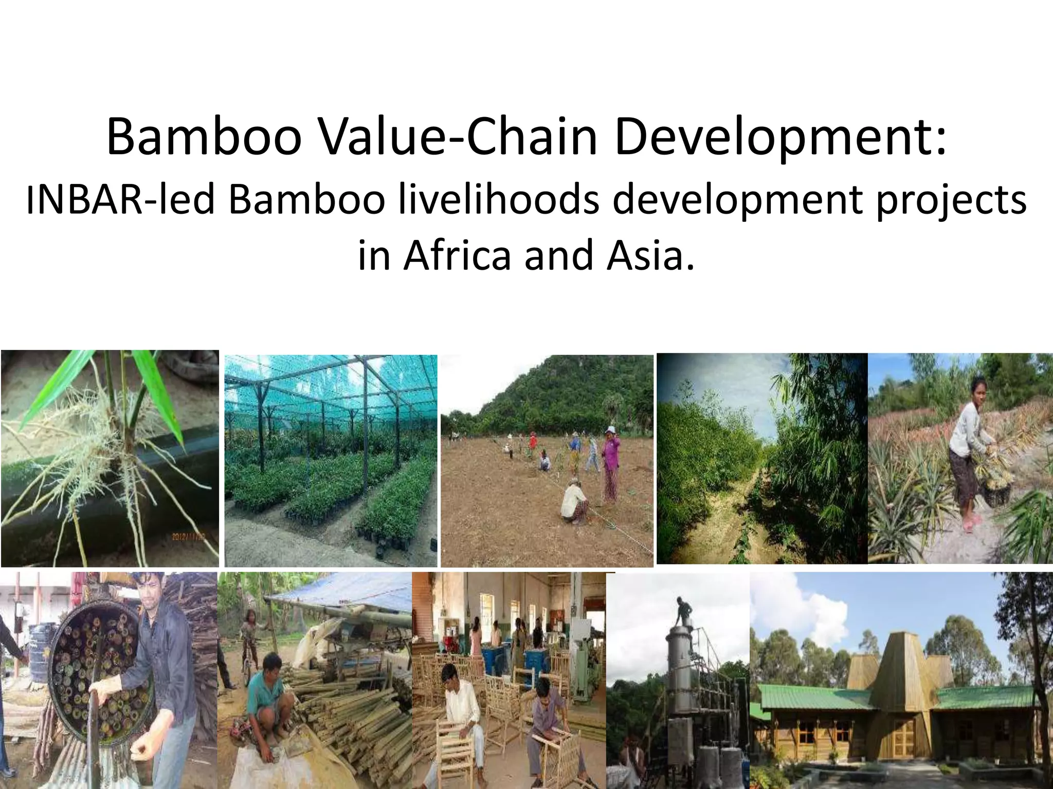 Bamboo Value-Chain Development: INBAR-led Bamboo livelihoods ...