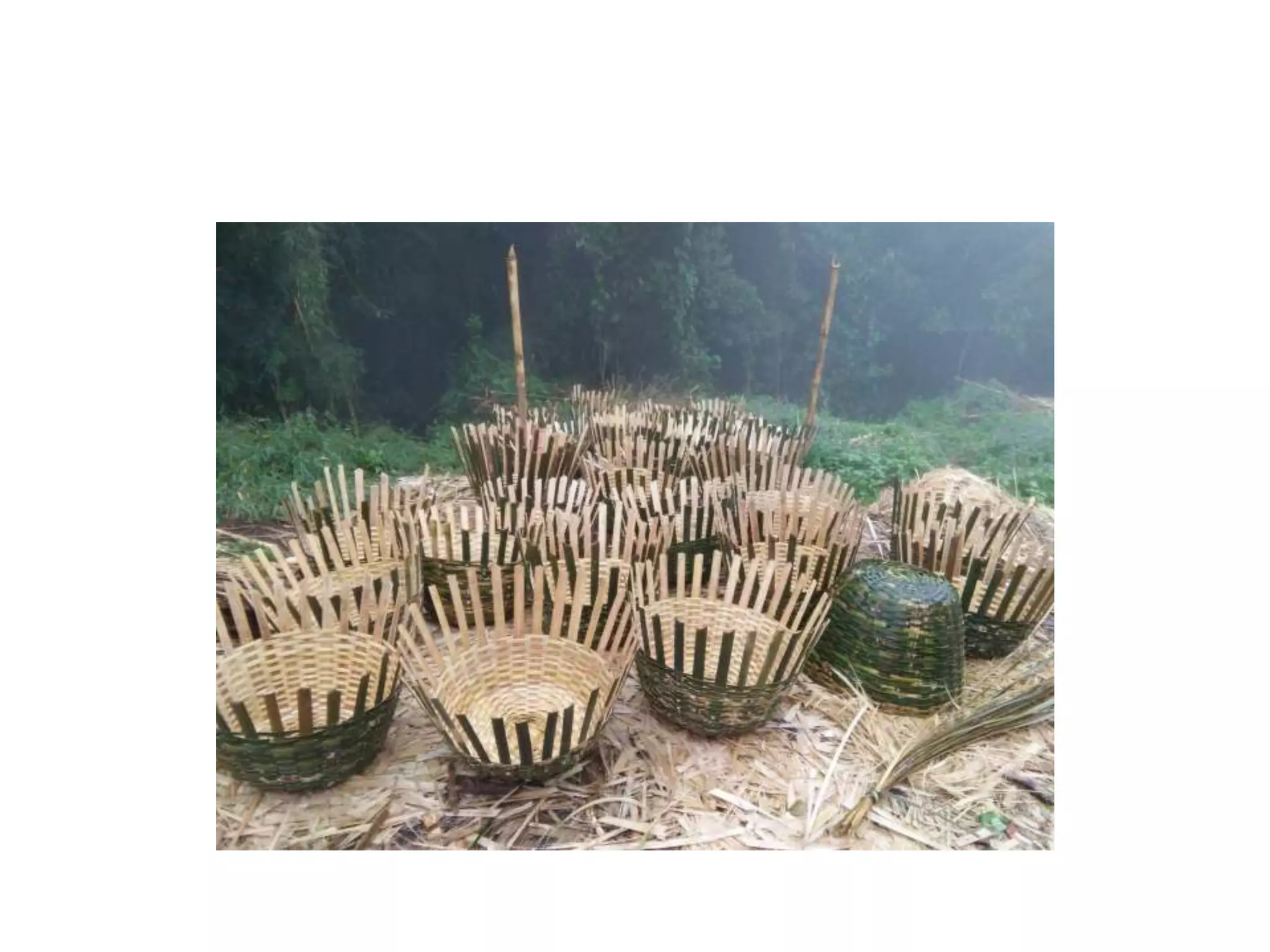 Bamboo Value-Chain Development: INBAR-led Bamboo livelihoods ...