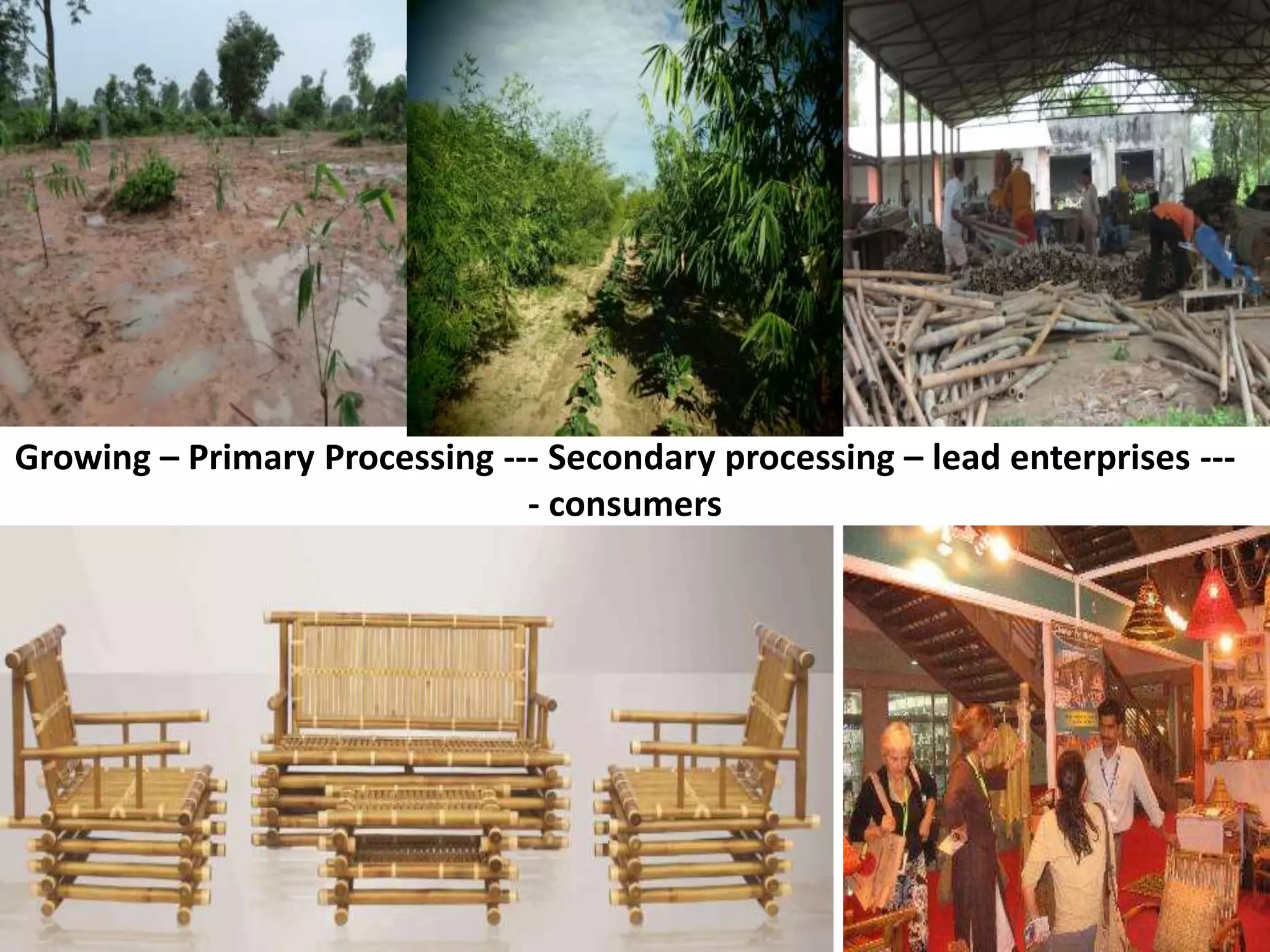 Bamboo Value-Chain Development: INBAR-led Bamboo livelihoods ...