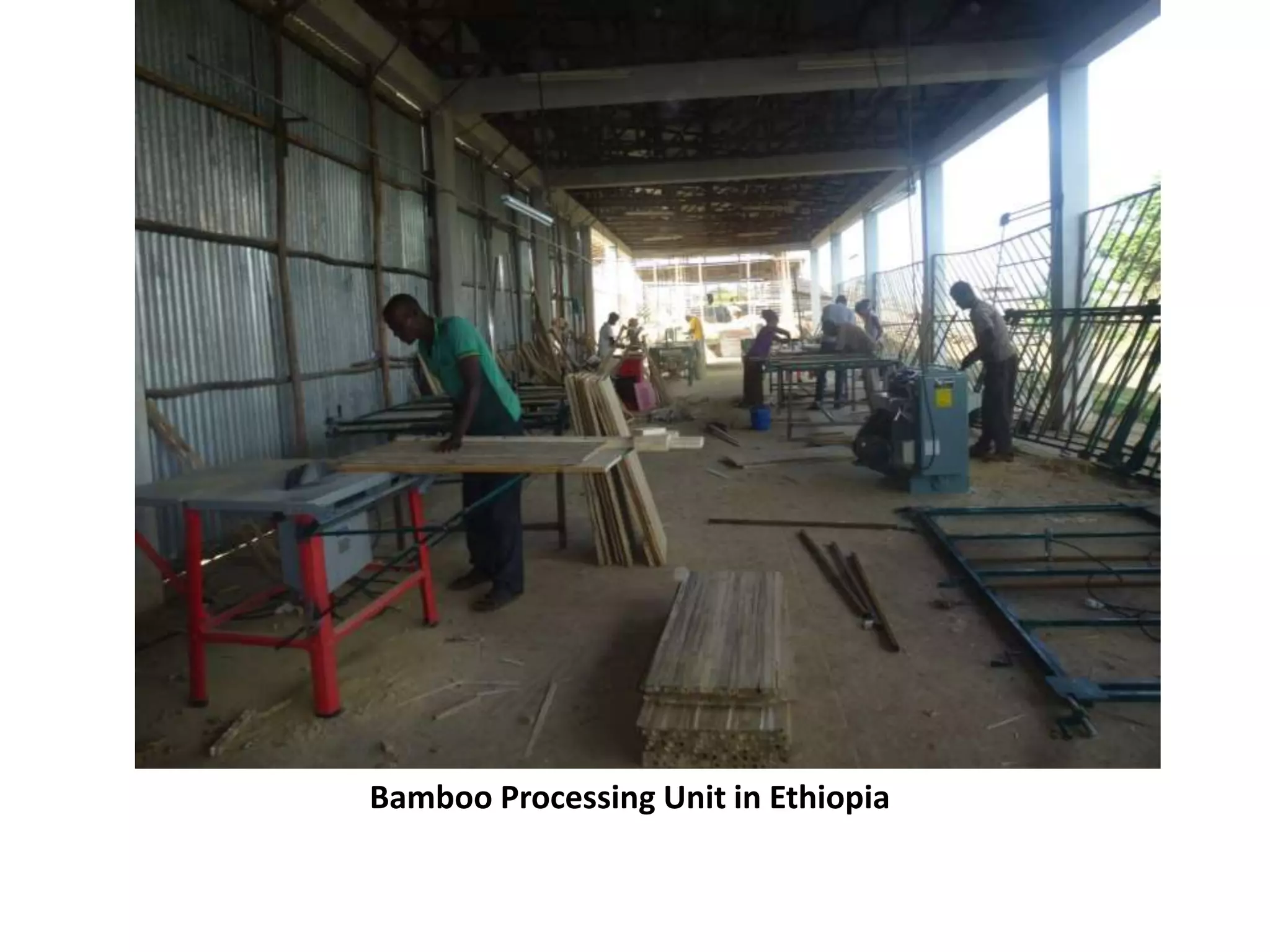 Bamboo Value-Chain Development: INBAR-led Bamboo livelihoods ...