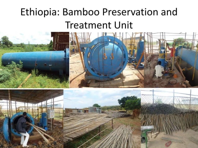 Bamboo Value-Chain Development: INBAR-led Bamboo livelihoods ...