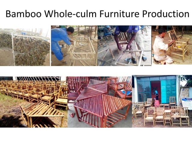 Bamboo Value-Chain Development: INBAR-led Bamboo livelihoods ...