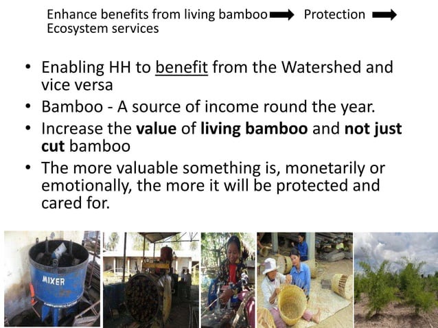Bamboo Value-Chain Development: INBAR-led Bamboo livelihoods ...