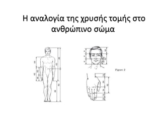Ακολουθία_ fibonacci | PPTX