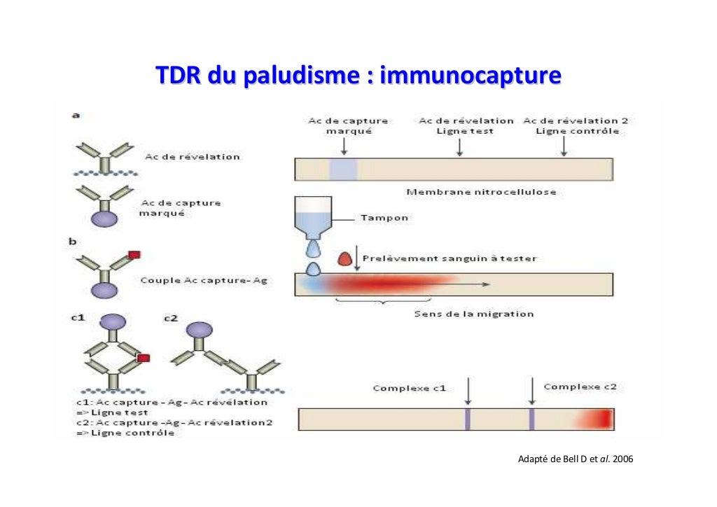 Tests de Diagnostic Rapide (TDR) du paludisme sous les tropiques