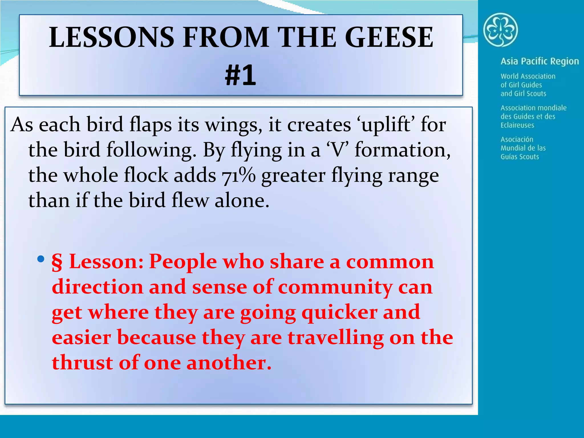 Lessons from the Geese | POT