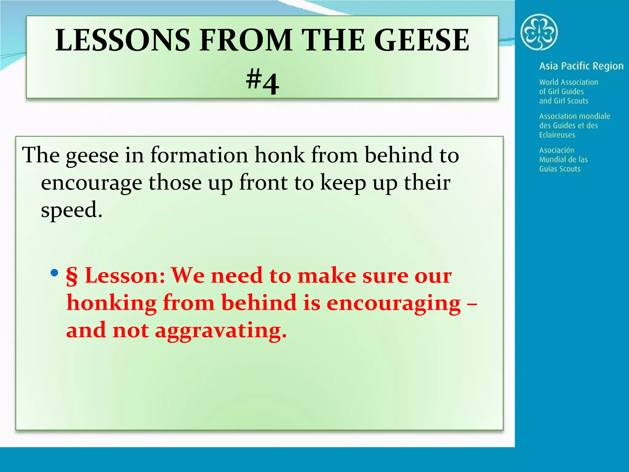 Lessons from the Geese | POT
