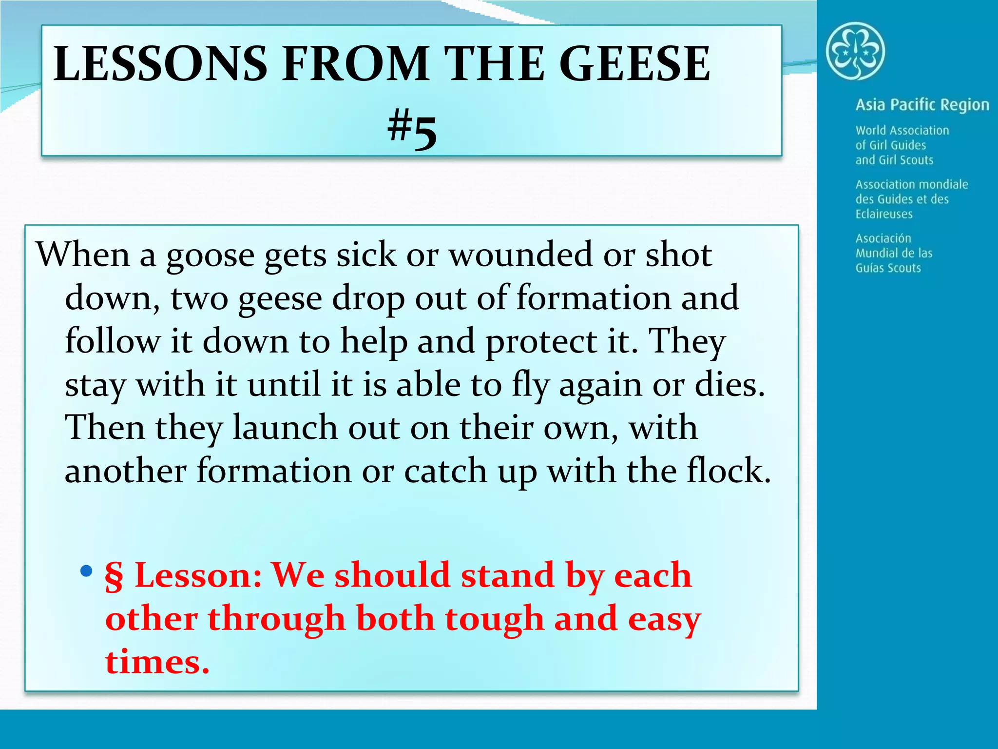 Lessons from the Geese | POT