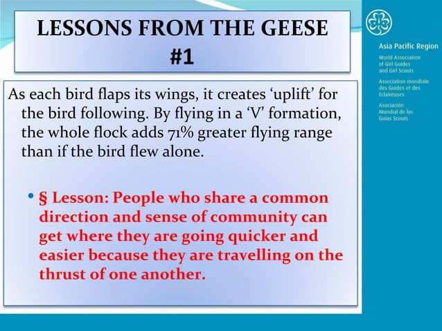 Lessons from the Geese | POT | Air Travel | Travel Type