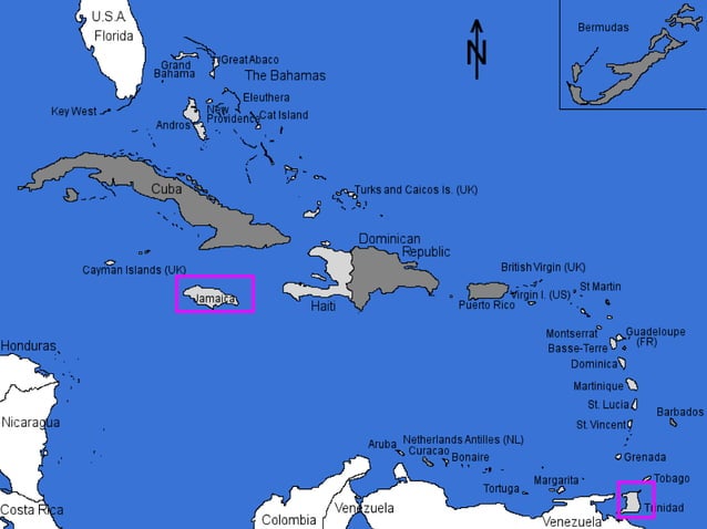 Tarik Weekes - The Violence Prevention Alliance- Jamaica | PPT