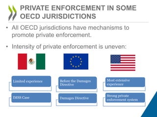Public & Private Antitrust Enforcement in Competition | PDF