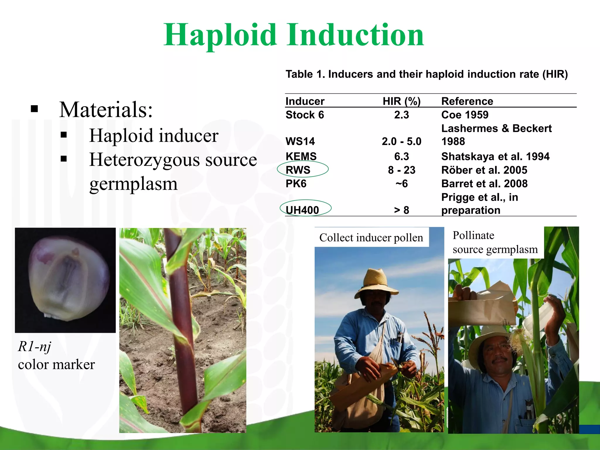 S4.4 Doubled Haploid Technology in Maize breeding: Status and prospects ...