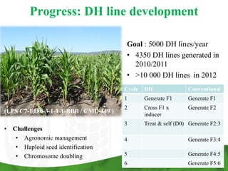 S4.4 Doubled Haploid Technology in Maize breeding: Status and prospects ...