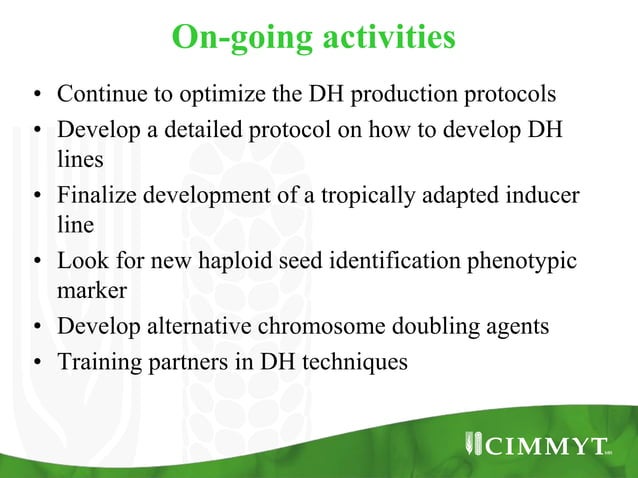 S4.4 Doubled Haploid Technology in Maize breeding: Status and prospects ...