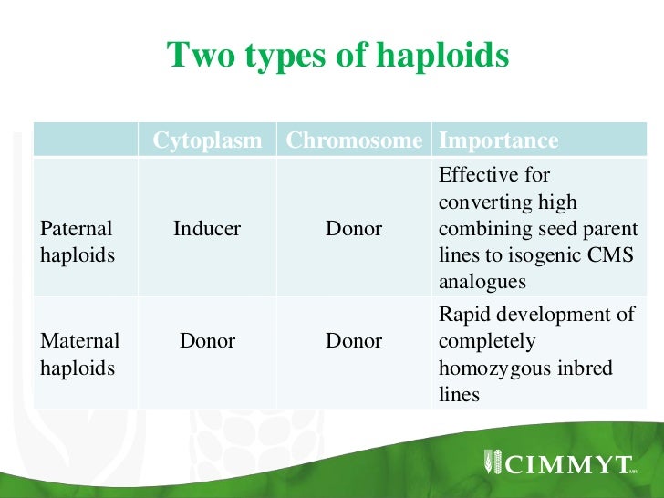 S4.4 Doubled Haploid Technology in Maize breeding: Status and prospe…