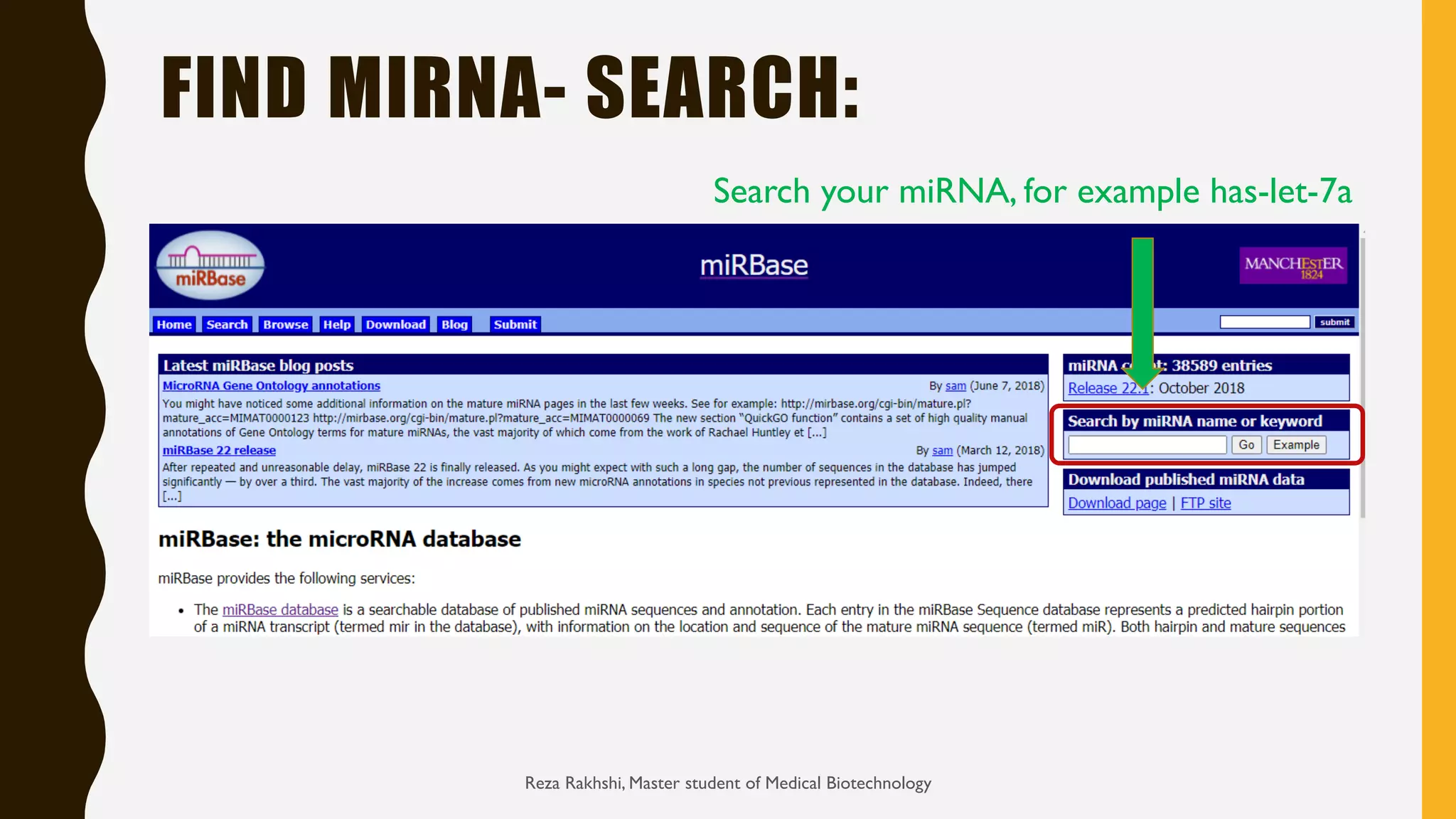 miRNA designing | PPT