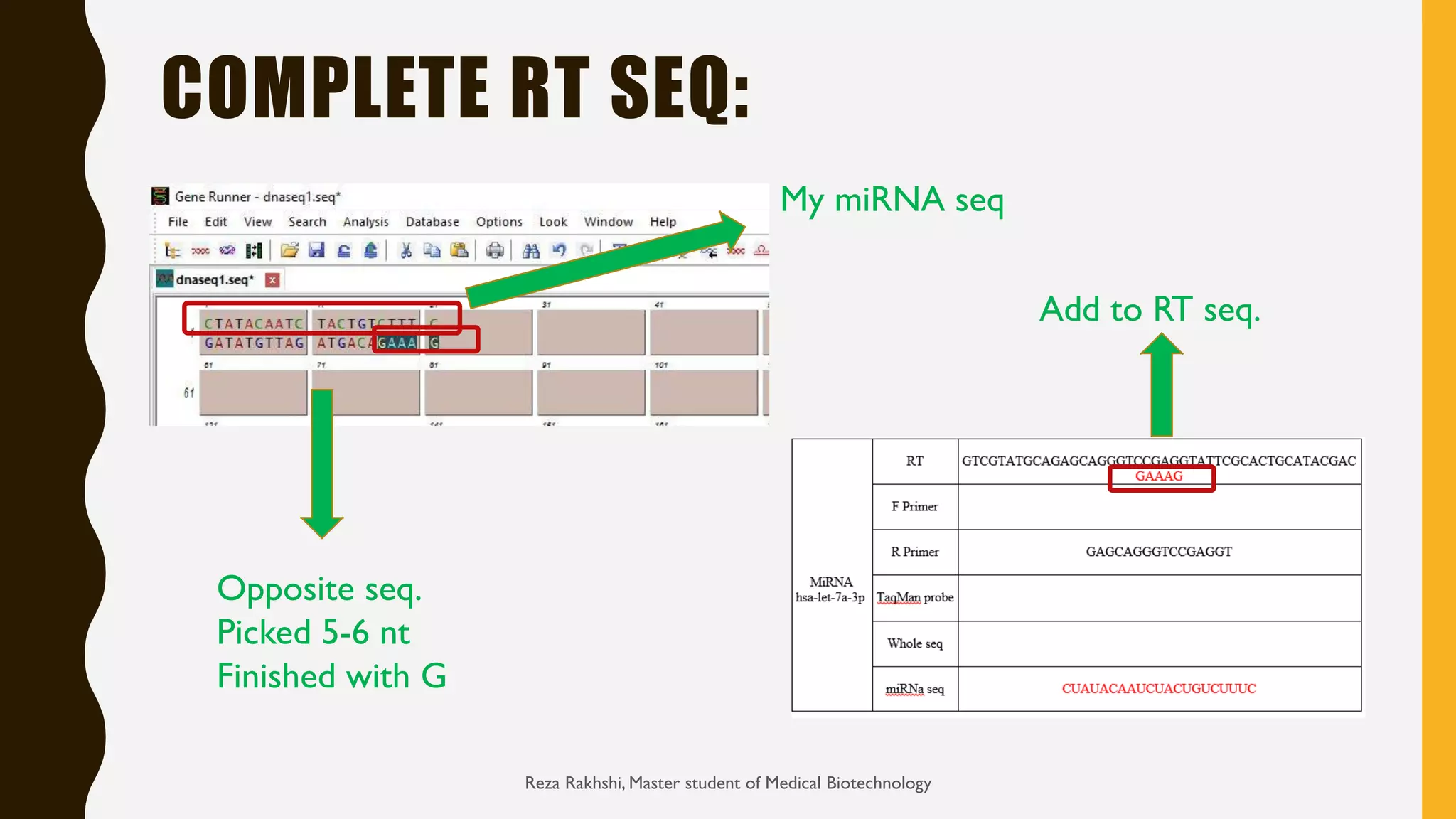 miRNA designing | PPT