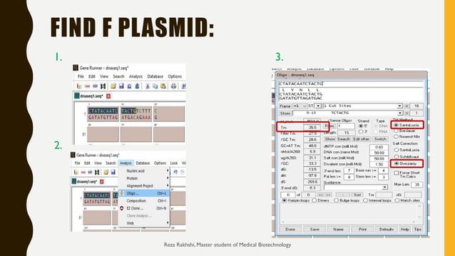 miRNA designing | PPT