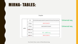 miRNA designing | PPT