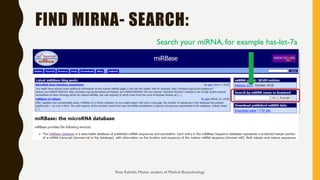 miRNA designing | PPT