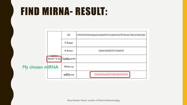 miRNA designing | PPT