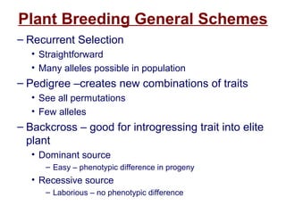 S4 plant breeding ii mazourek | PPT