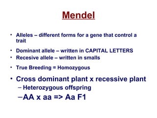 S4 plant breeding ii mazourek | PPT