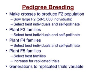 S4 plant breeding ii mazourek | PPT