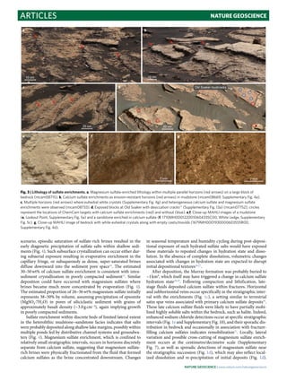 An interval of high salinity in ancient Gale crater lake on Mars | PDF