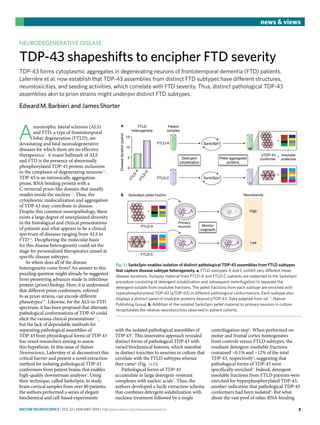 TDP-43 shapeshifts to encipher FTD severity | PDF