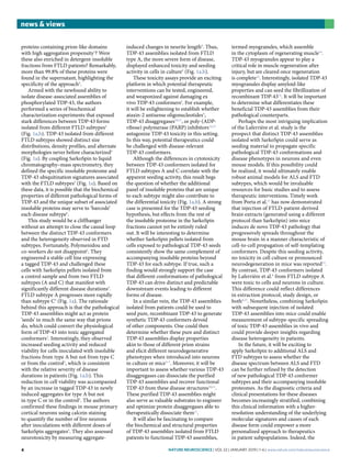 TDP-43 shapeshifts to encipher FTD severity | PDF