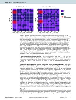 s41598-022-16530-7.pdf | Genetics | Science