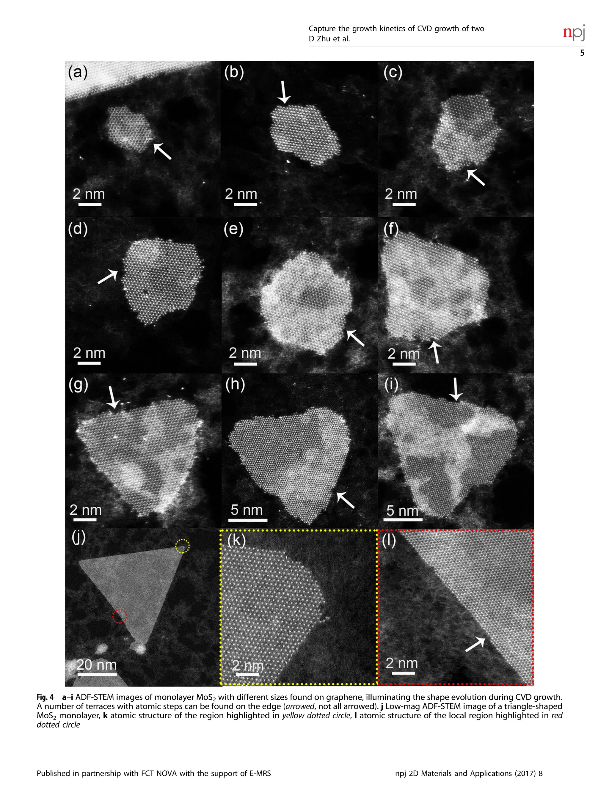 Mos2 monolayer growth mechanisms chemial vapor deposition | PDF