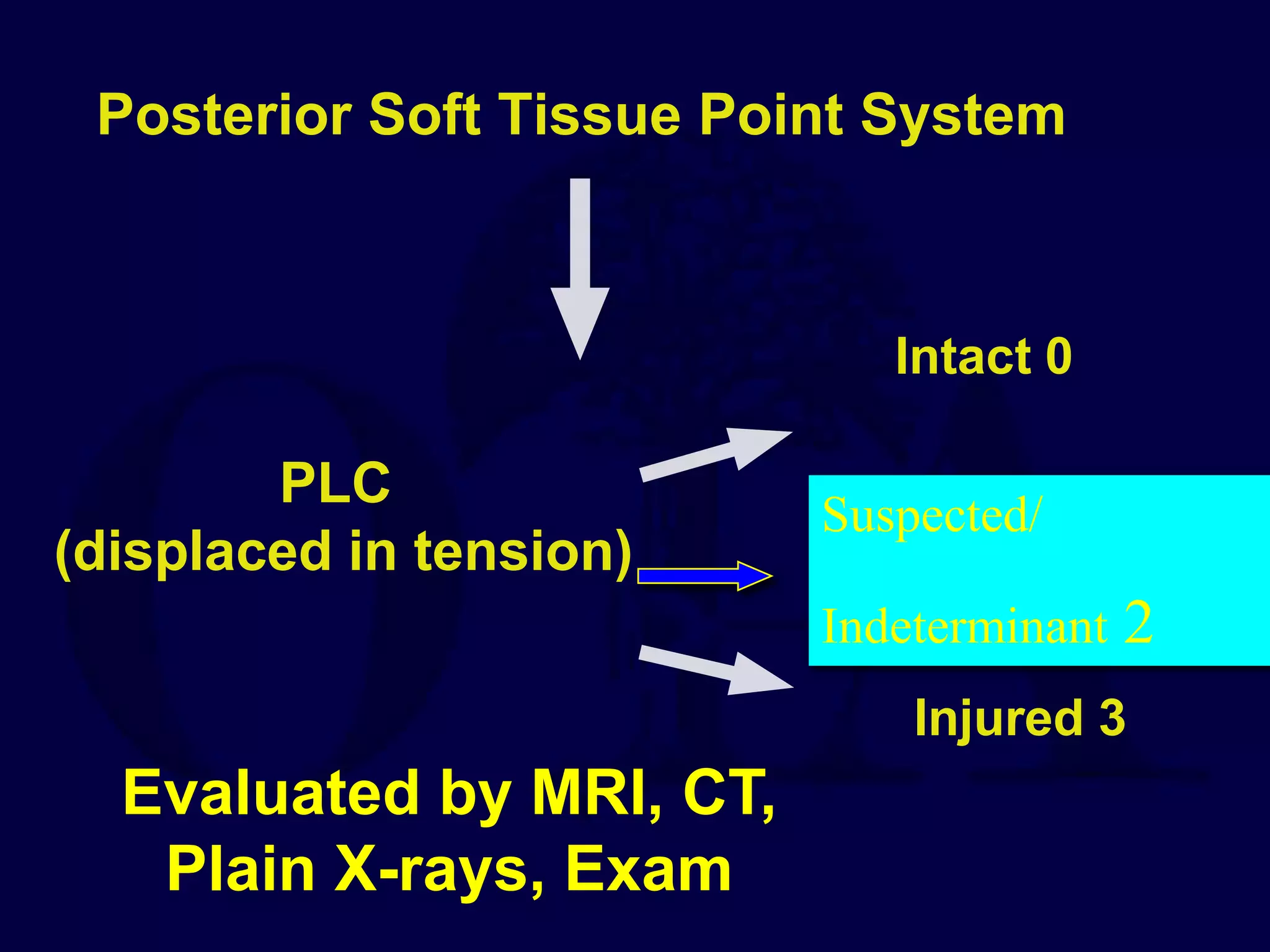 S4_Classification-Thoracolumar-Spine.ppt