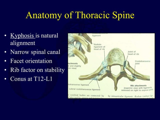 S4_Classification-Thoracolumar-Spine.ppt