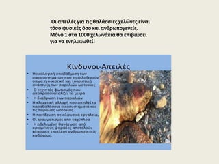 Η ΧΕΛΩΝΑ ΚΑΡΕΤΤΑ ΚΑΡΕΤΤΑ - Α ΔΗΜΟΤΙΚΟΥ | PPTX