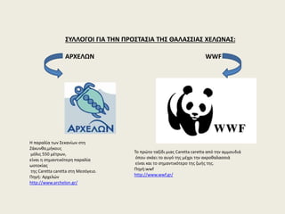 Η ΧΕΛΩΝΑ ΚΑΡΕΤΤΑ ΚΑΡΕΤΤΑ - Α ΔΗΜΟΤΙΚΟΥ | PPTX