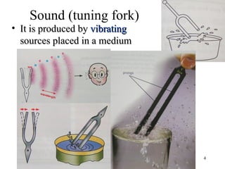 Reflection of Sound Part 1 | PPT