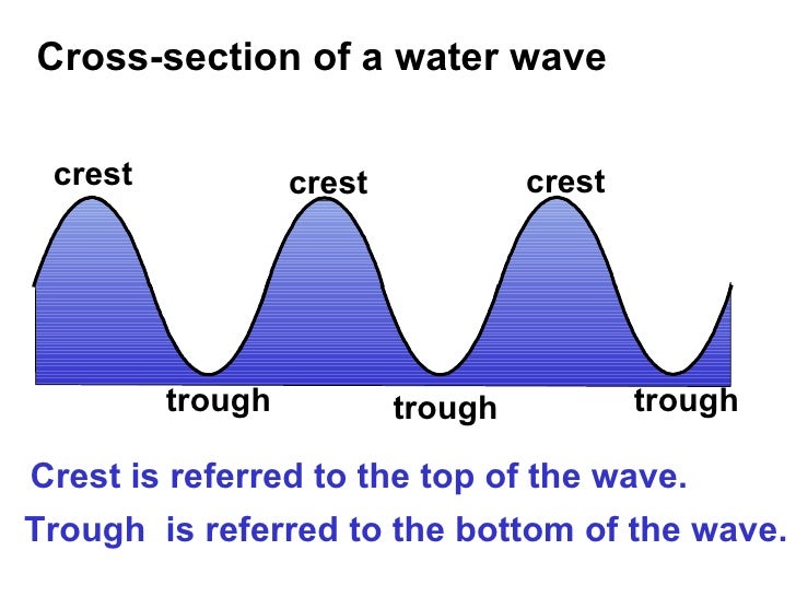 S4 E Phy Waves(Tranverse)(T)