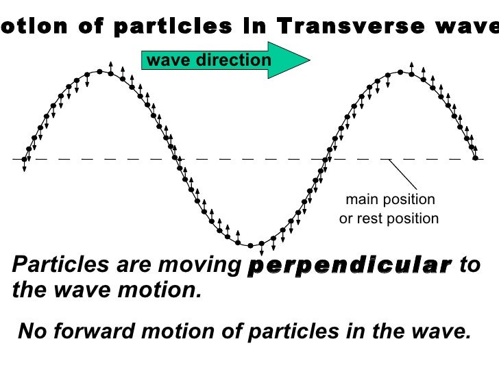 S4 E Phy Waves(Tranverse)(T)