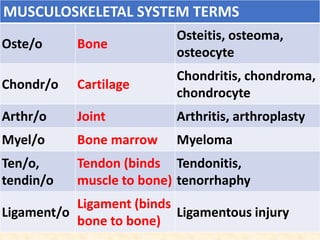 S_4_L1_Medical_terminology_musculoskeletal_System_b676b6e76cd02.pdf