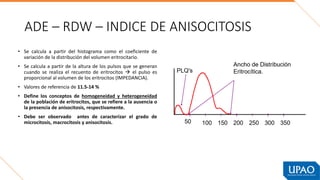presentacion sobre los tipos de diferentes macrofagos y hemoglobina | PDF