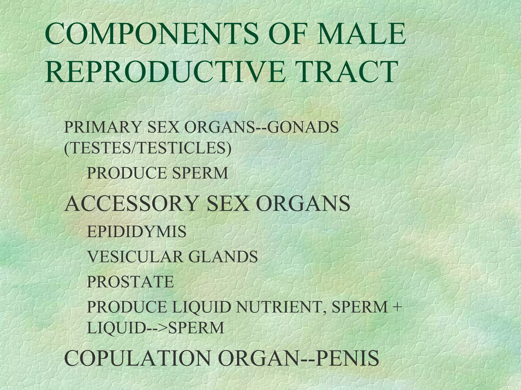 Unit 10 reproductive_organs__a.i | PPT