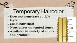 Hair_Coloring_Presenatation to do Hair Color.pdf