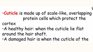 Hair_Coloring_Presenatation to do Hair Color.pdf