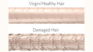 Hair_Coloring_Presenatation to do Hair Color.pdf