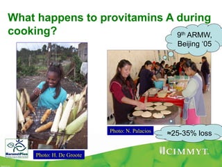 S5.1 Maize HarvestPlus: Biofortifying maize with Provitamin A ...